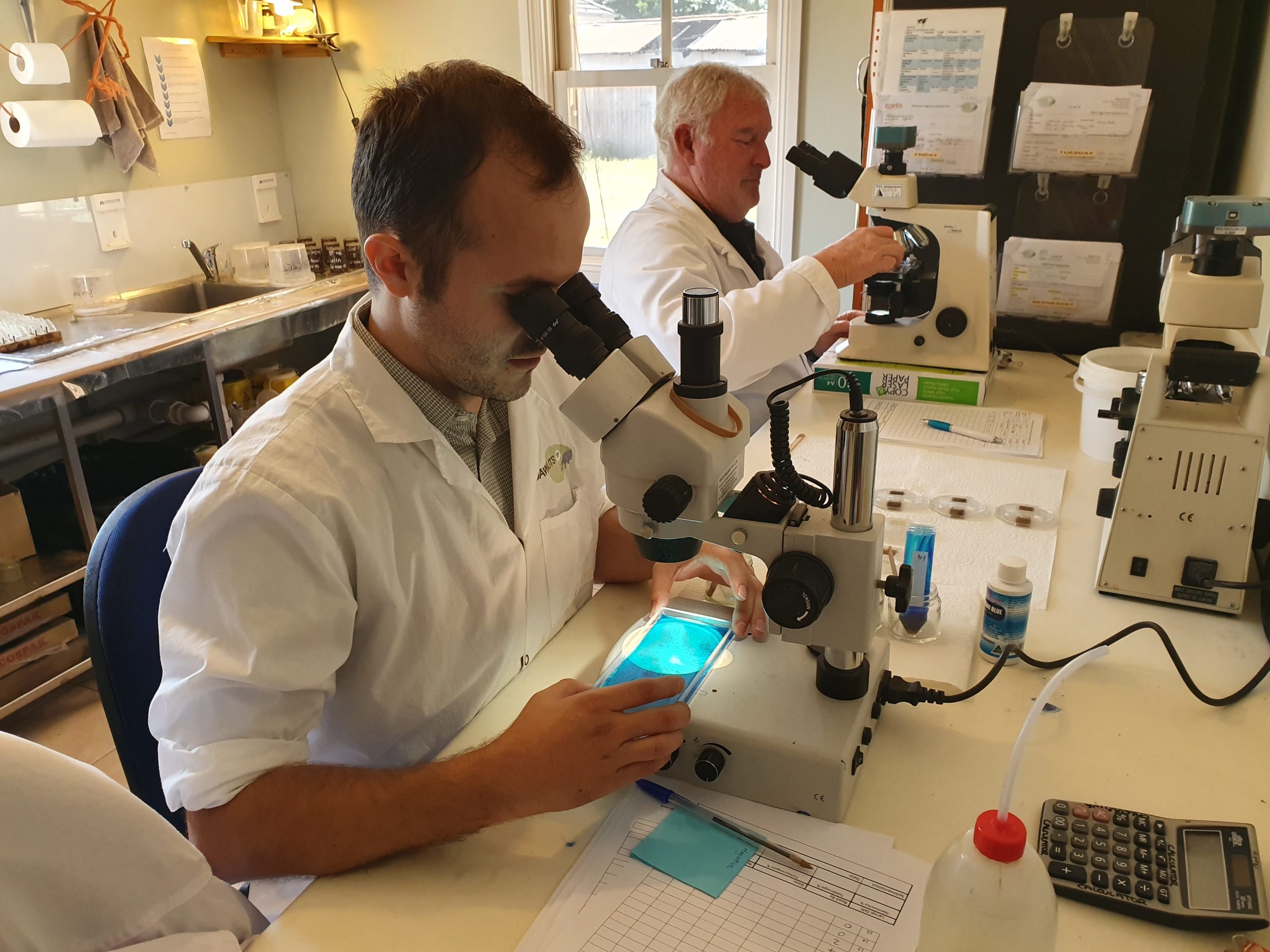 Worm Testing - Tablelands Farming Systems